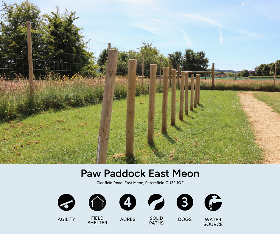 Paw Paddocks in Hampshire - Paw Paddock